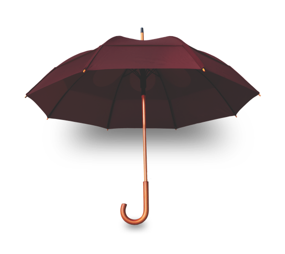 Gustbuster Classic auto open umbrella – bagdUp